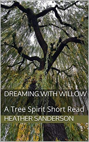 Dreaming with Willow: Tree of Enchantment, Witchiness, and Watery ...