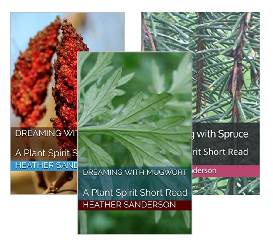 Top 15 Majestic Wisdom Books of April – Majestic Wisdom Publishing